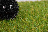 Eclipse 20mm Artificial Grass | Grass Warehouse